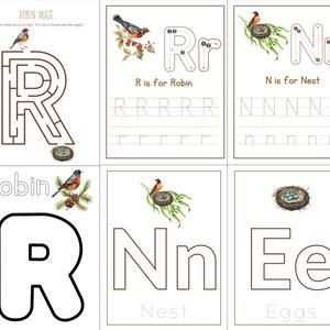 AMERICAN ROBIN Unit Study, Life Cycle, Anatomy, Nature Study, Science ...