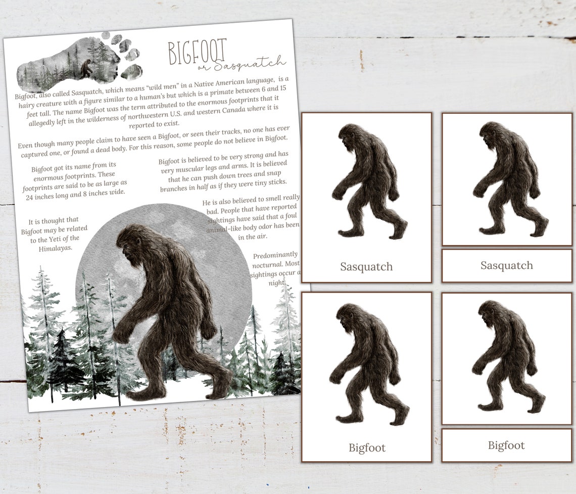 BIGFOOT Unit Study, Sasquatch, Anatomy, Nature Study, Science ...