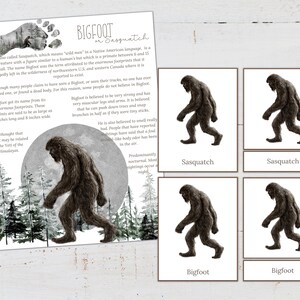 BIGFOOT Unit Study, Sasquatch, Anatomy, Nature Study, Science ...
