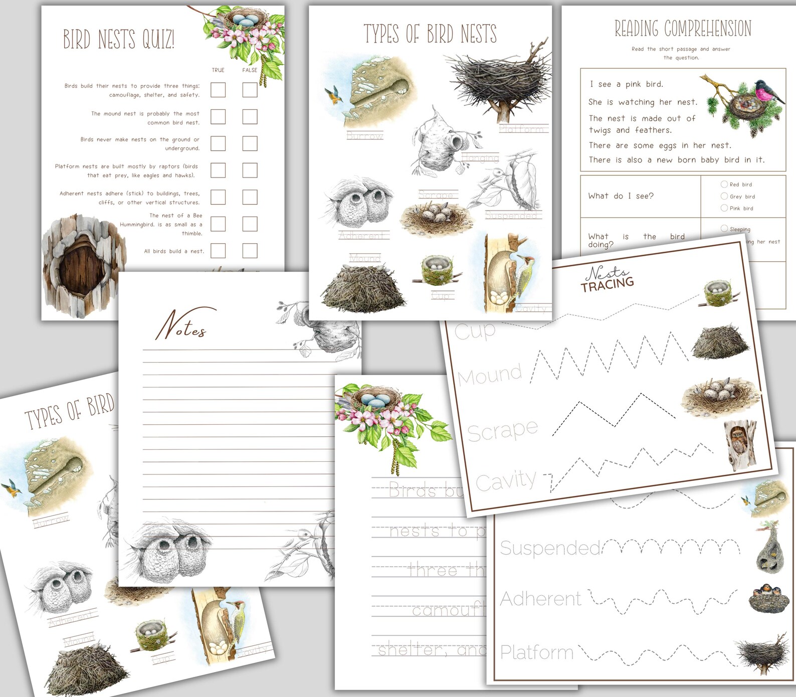 BIRD NESTS Unit Study, Nature Study, Science, Handwriting, Homeschool ...