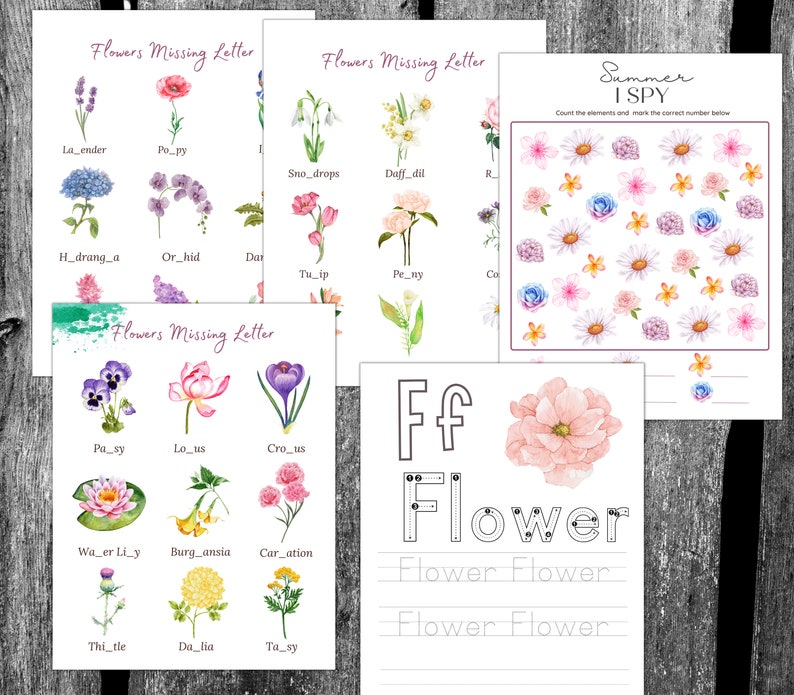 FLOWERS Mini Study Unit Life Cycle Anatomy Science - Etsy