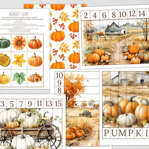 PUMPKIN Unit Study, Life Cycle, Anatomy, Nature Study, Science ...