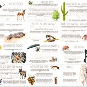 BEHAVIORS in NATURE BUNDLE (symbiosis, Animal Defenses, Animals at ...