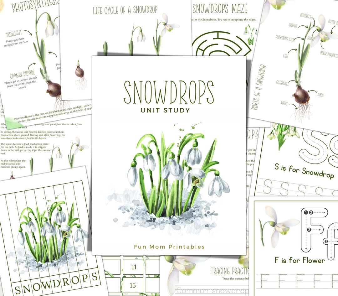 SNOWDROP Unit Study, Life Cycle, Anatomy, Nature Study, Science ...