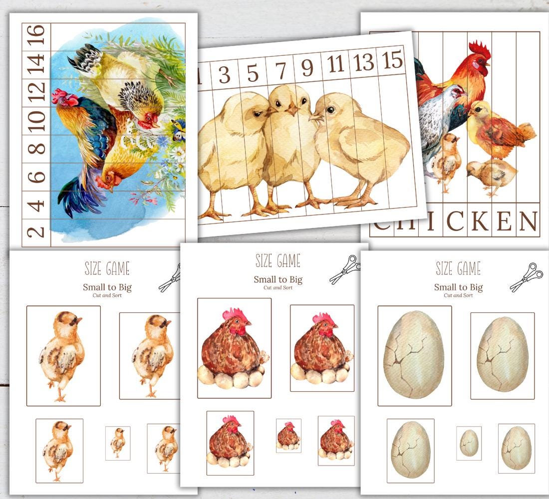 Chicken Unit Study , Life Cycle, Anatomy, DIGITAL DOWNLOAD - Etsy