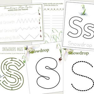 SNOWDROP Unit Study, Life Cycle, Anatomy, Nature Study, Science ...