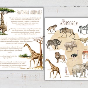 African SAVANNA Unit Study, Life Cycle, Anatomy, Nature Study, Science ...