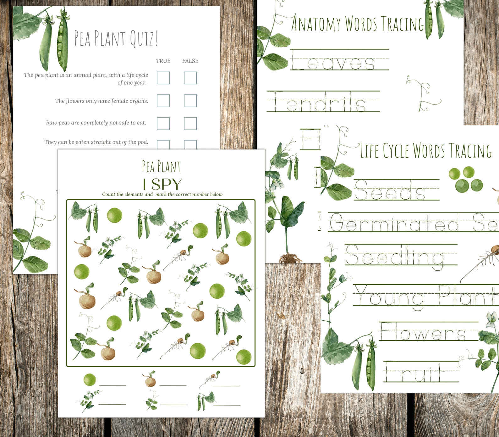 PEA Plant Unit Study Life Cycle Anatomy Nature Study - Etsy