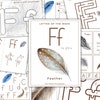 RED FOX Anatomy, Poster and Labeling Activity, Homeschool, Instant ...