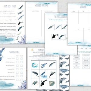 WHALES Unit Study, Life Cycle, Anatomy, Nature Study, Science ...