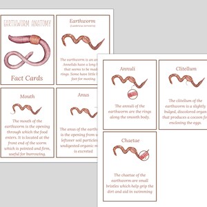 EARTHWORM Study Unit, Life Cycle, Anatomy, Nature Study, Science ...