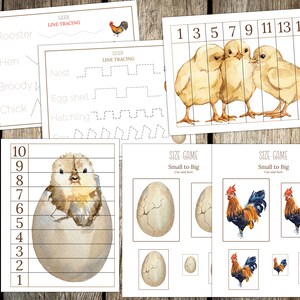 Chicken Unit Study , Life Cycle, Anatomy, DIGITAL DOWNLOAD - Etsy