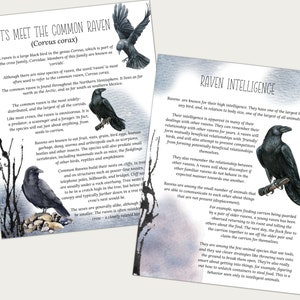 RAVEN Unit Study, Anatomy, Nature Study, Science, Handwriting ...