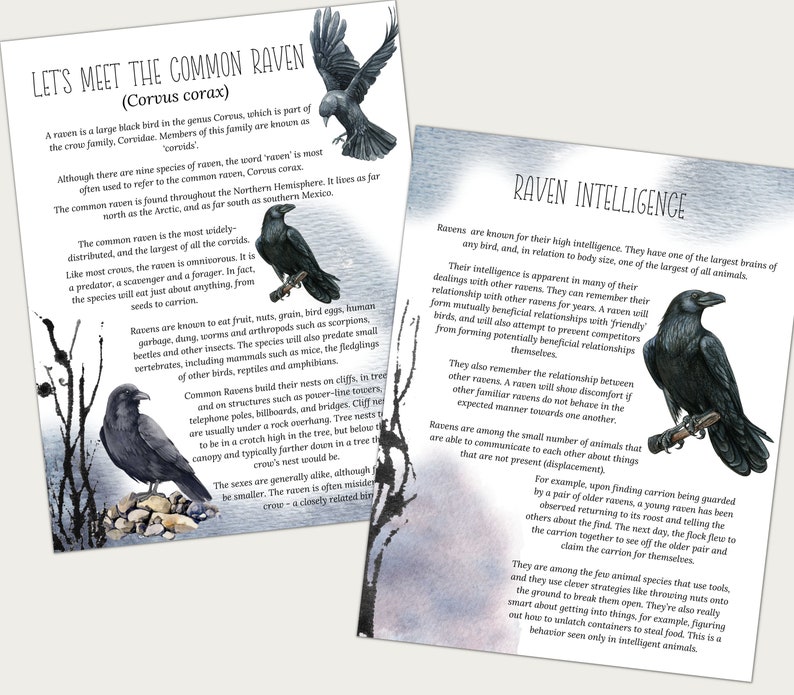 RAVEN Unit Study Anatomy Nature Study Science Handwriting - Etsy