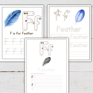 Letter F Feather Activities: Alphabet Learning Printable (instant ...