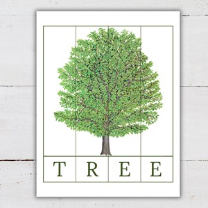 LETTER of the WEEK, T is for Tree, Letter T Activities, Alphabet ...