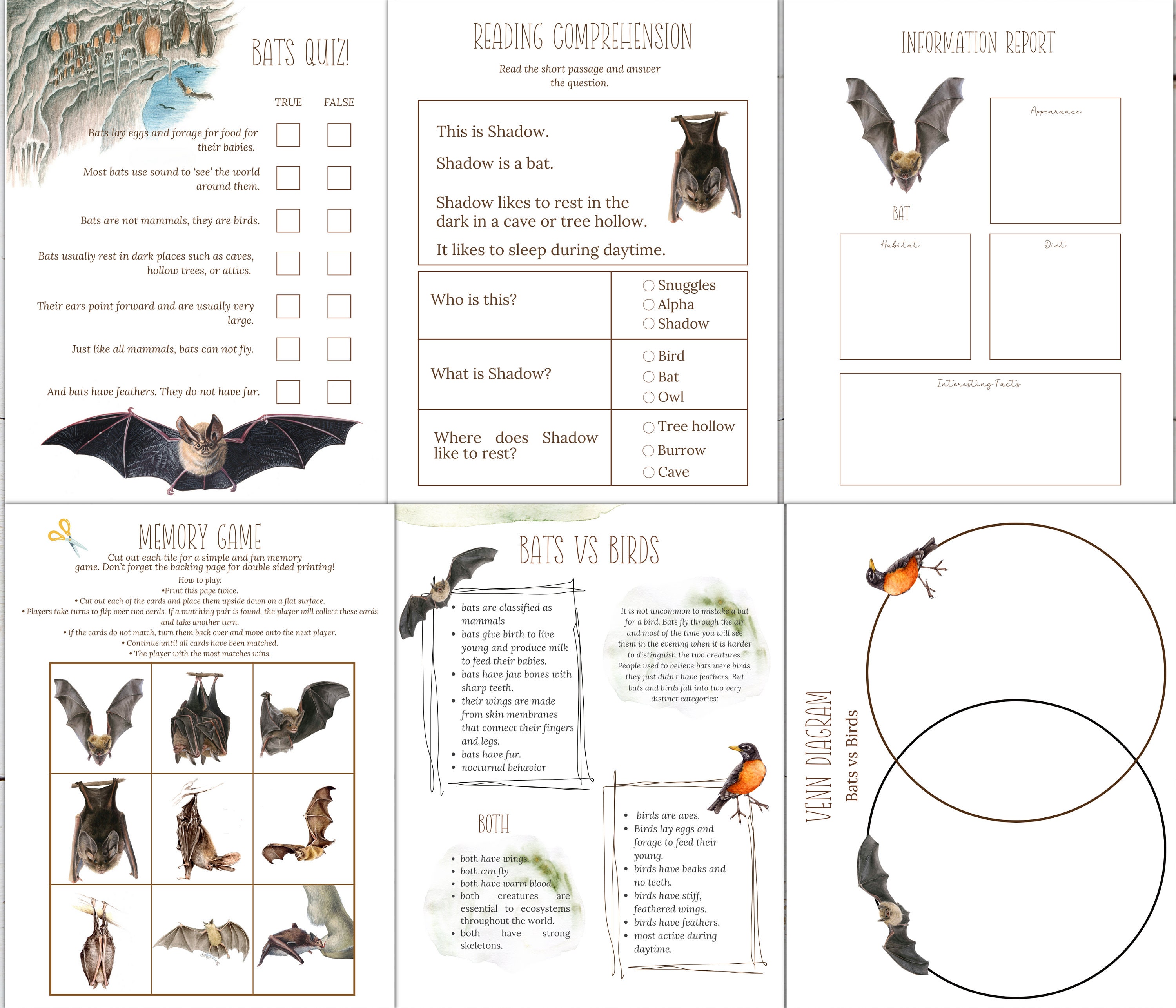 Bats Unit Study: Life Cycle, Anatomy, Homeschool Printable (instant ...