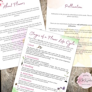 FLOWERS Mini Study Unit Life Cycle Anatomy Science - Etsy