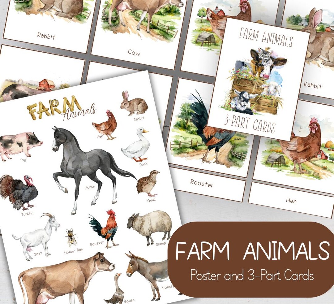 FARM ANIMALS Poster + 3-part Cards, Montessori, Instant Download - Etsy