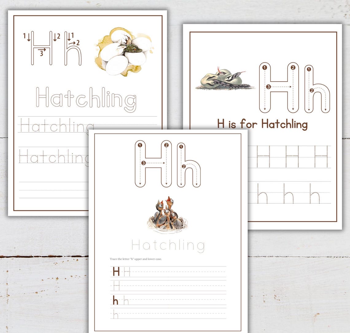 Letter H Hatchling Printable: Alphabet Learning Activities (digital ...