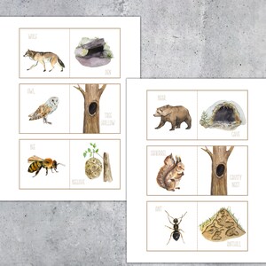 ANIMAL HOMES Flashcards and Matching Activity, Instant Download - Etsy