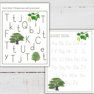 LETTER of the WEEK, T is for Tree, Letter T Activities, Alphabet ...