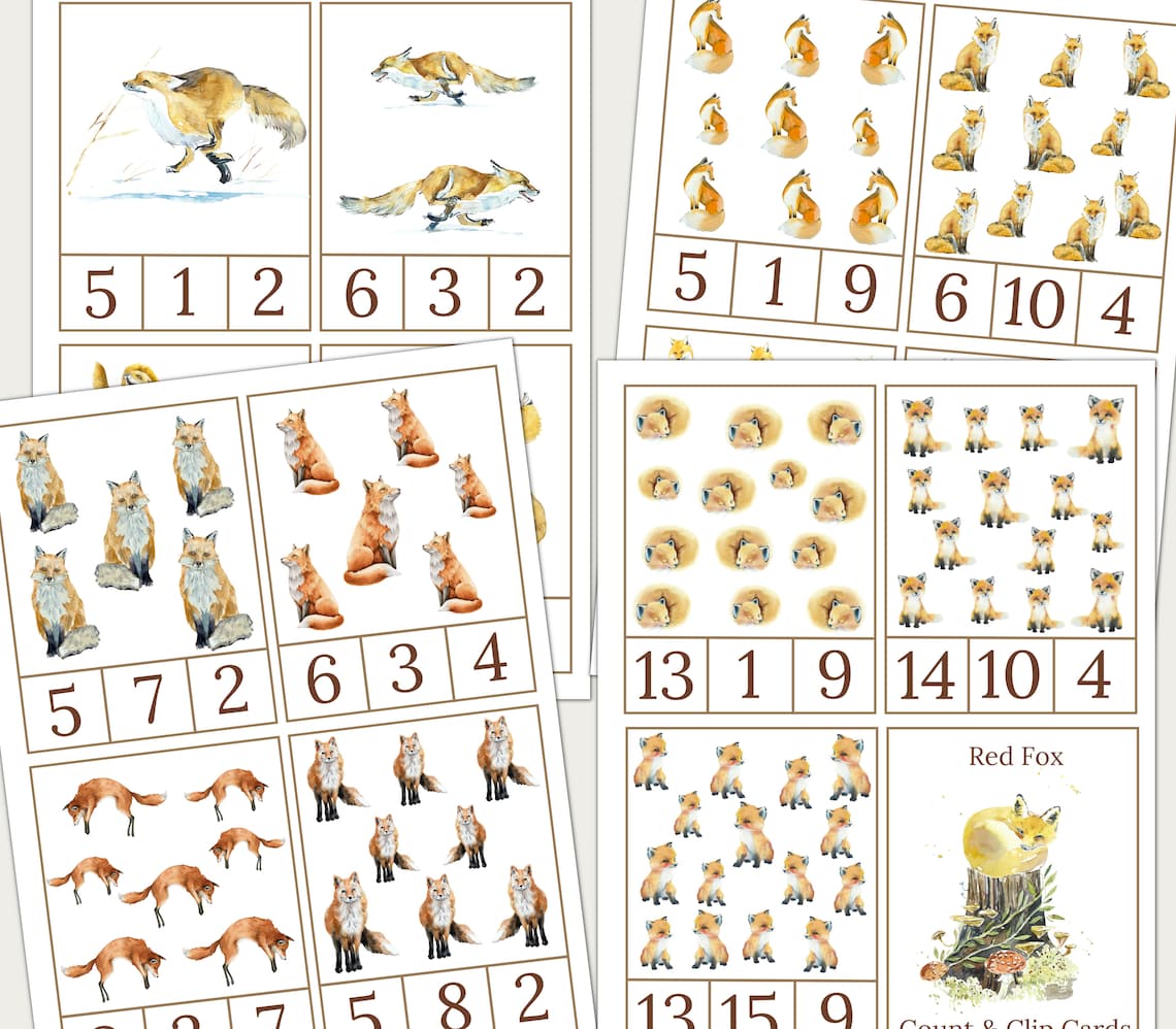 RED FOX Unit Study Life Cycle Anatomy Nature Study - Etsy