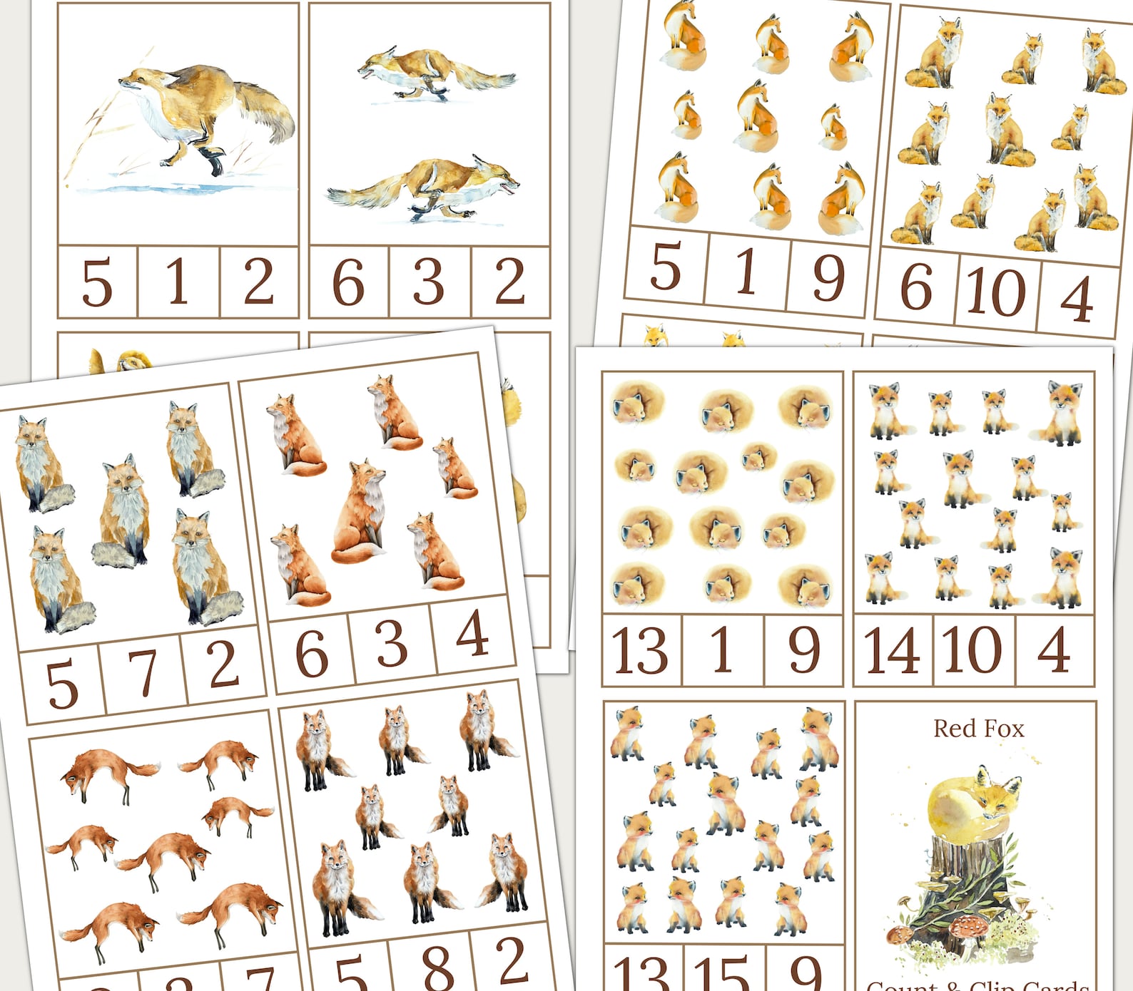 RED FOX Unit Study Life Cycle Anatomy Nature Study - Etsy