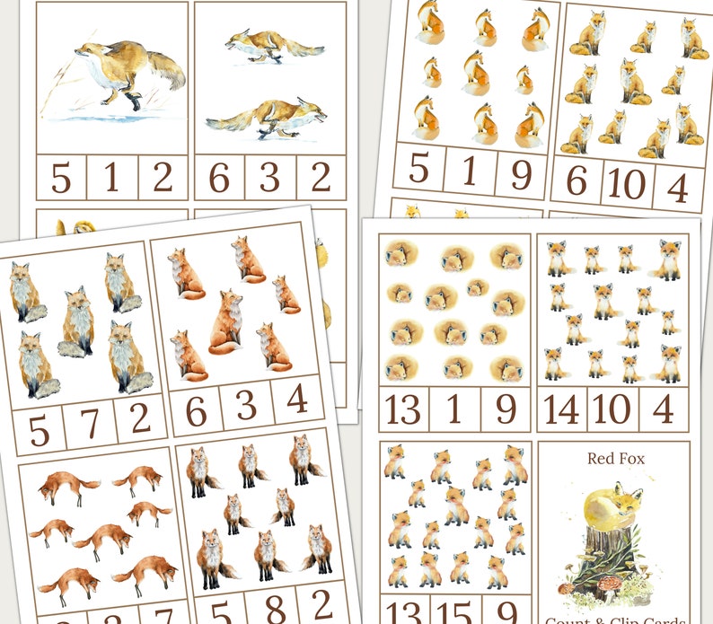 RED FOX Unit Study Life Cycle Anatomy Nature Study - Etsy