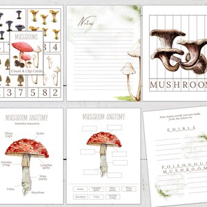 Mushrooms of North America Unit Study: Homeschool Printable (instant ...