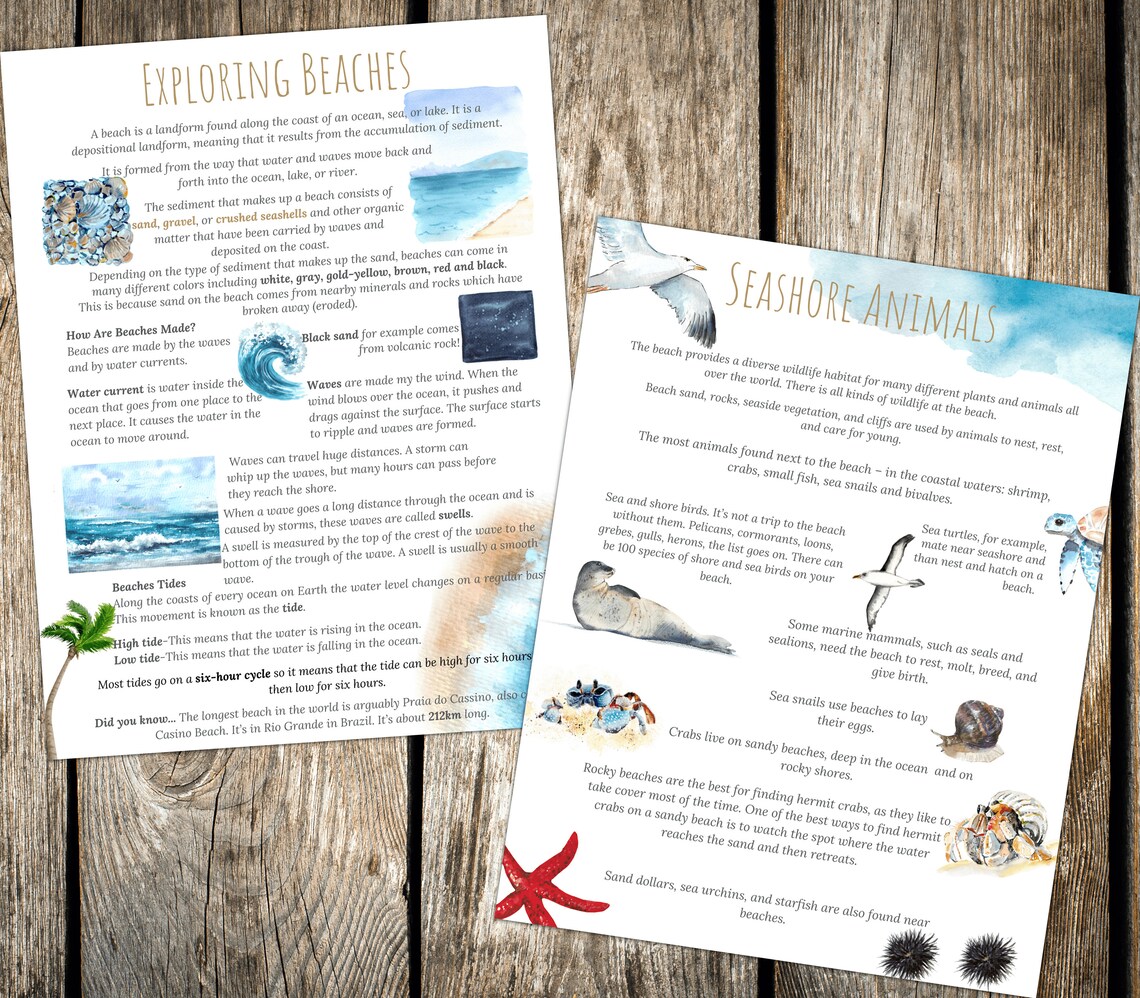 BEACH Unit Study Anatomy Nature Study Science Handwriting - Etsy