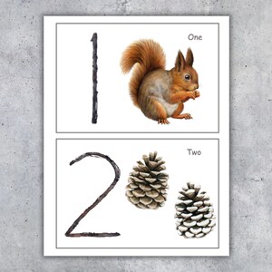 AUTUMN/FALL NATURE Counting Flashcards, 1 to 10 Counting, Toddler ...