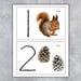 AUTUMN/FALL NATURE Counting Flashcards, 1 to 10 Counting, Toddler ...