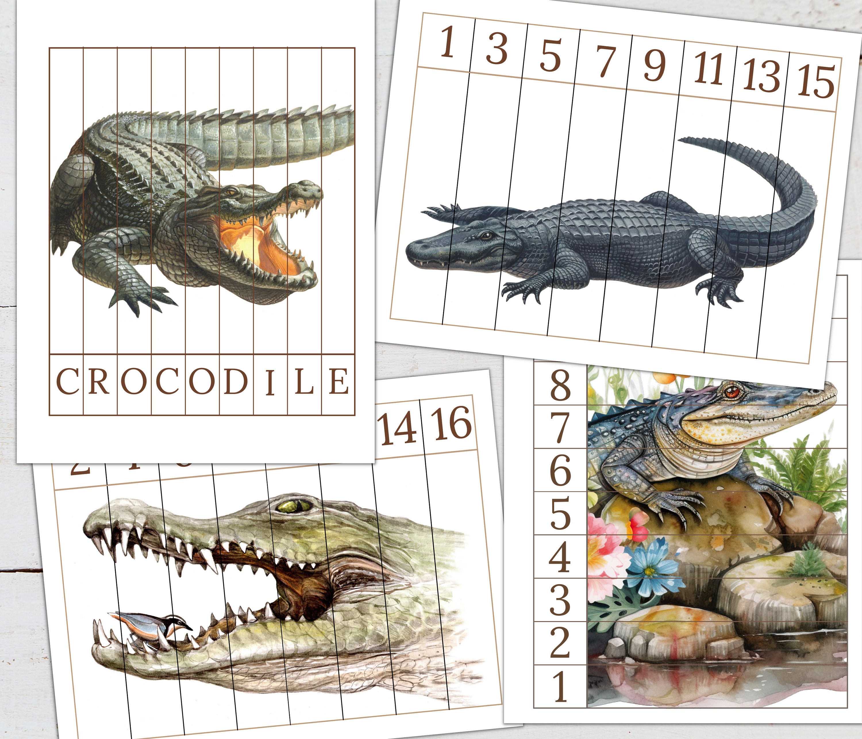 Crocodile Unit Study: Homeschool Science Printable (instant Download ...