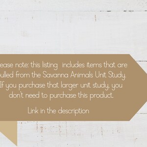 AFRICAN SAVANNA Animals Mini Poster + 3-part Cards + Fact Cards ...