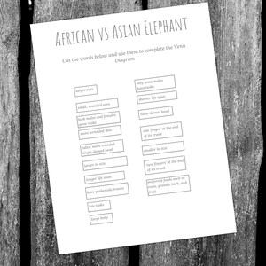 AFRICAN Vs ASIAN Elephant Venn Diagram Activity, Homeschool, Montessori ...