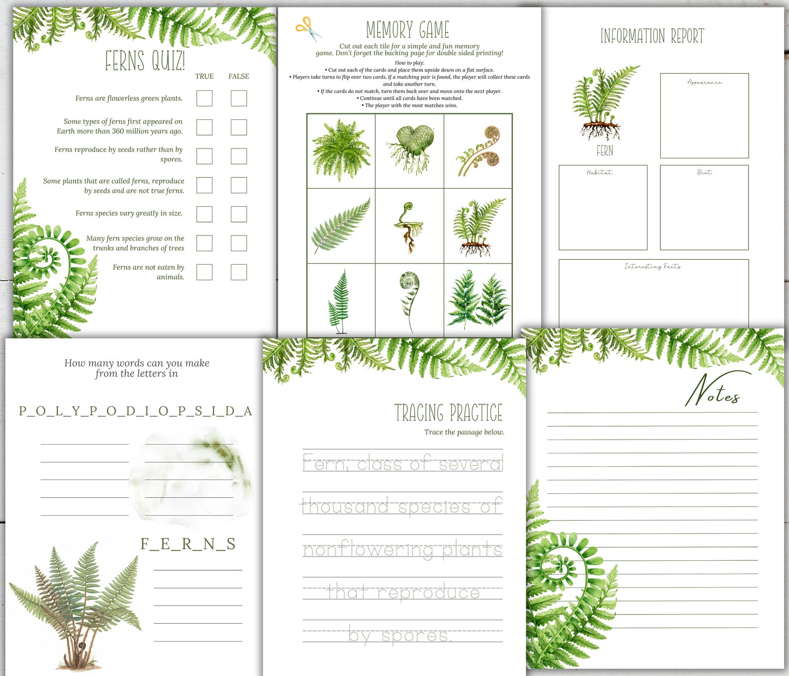 Ferns Unit Study: Life Cycle, Anatomy, Family Style Activities ...