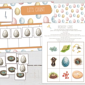 Egg Unit Study: Oviparous Animals, Life Cycle (homeschool Printable) - Etsy