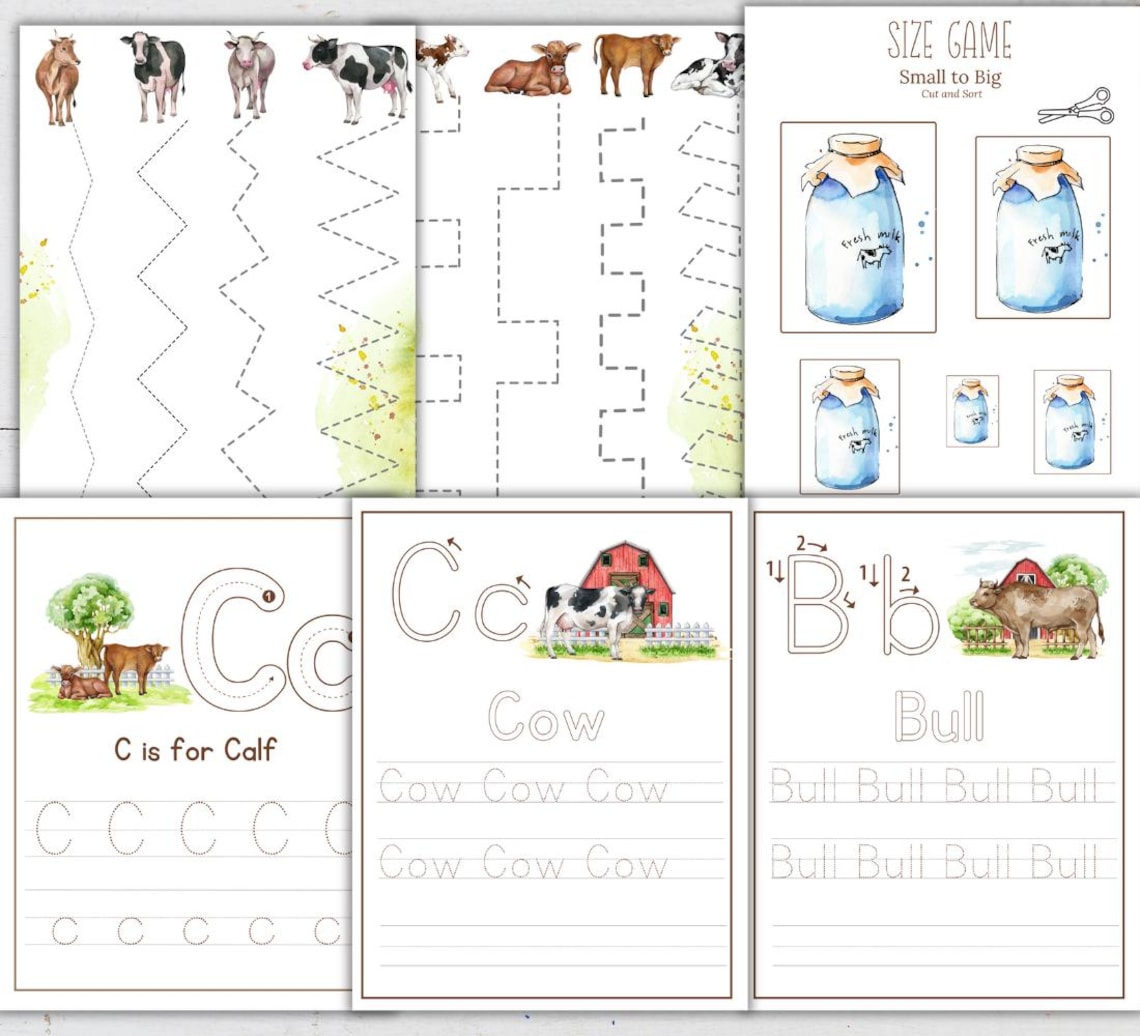Cows Unit Study: Cattle Life Cycle, Anatomy (homeschool Printable) - Etsy