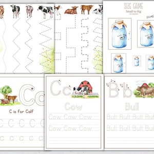 COWS Unit Study, Cattle, Life Cycle, Anatomy, Farm Animals, Nature ...