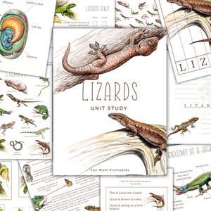 Reptiles Unit Study Bundle: Snakes, Crocodile, Sea Turtle (homeschool Printable) - Etsy