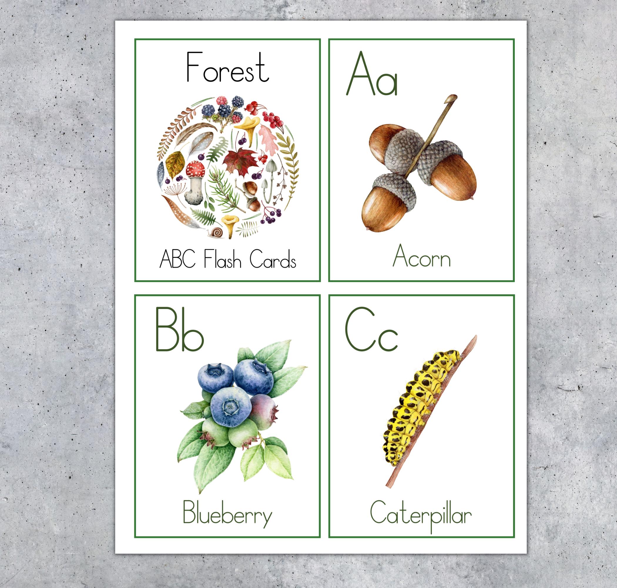 FOREST NATURE Alphabet Flashcards. Watercolor Letter Cards. Kids ...