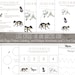 Arctic Fox Unit Study: Homeschool Science Printable (instant Download ...