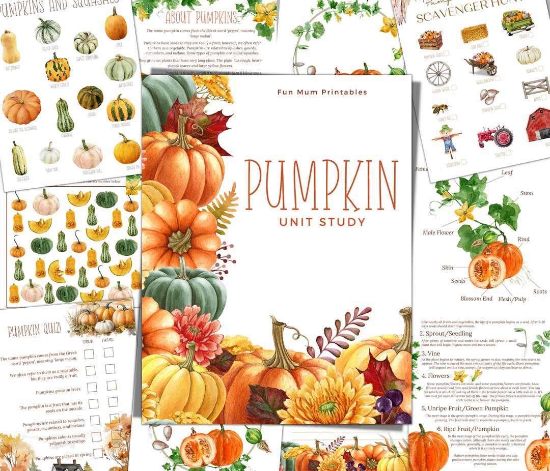 PUMPKIN Unit Study, Life Cycle, Anatomy, Nature Study, Science ...