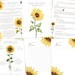 SUNFLOWER Unit Study Life Cycle Anatomy Nature Study - Etsy