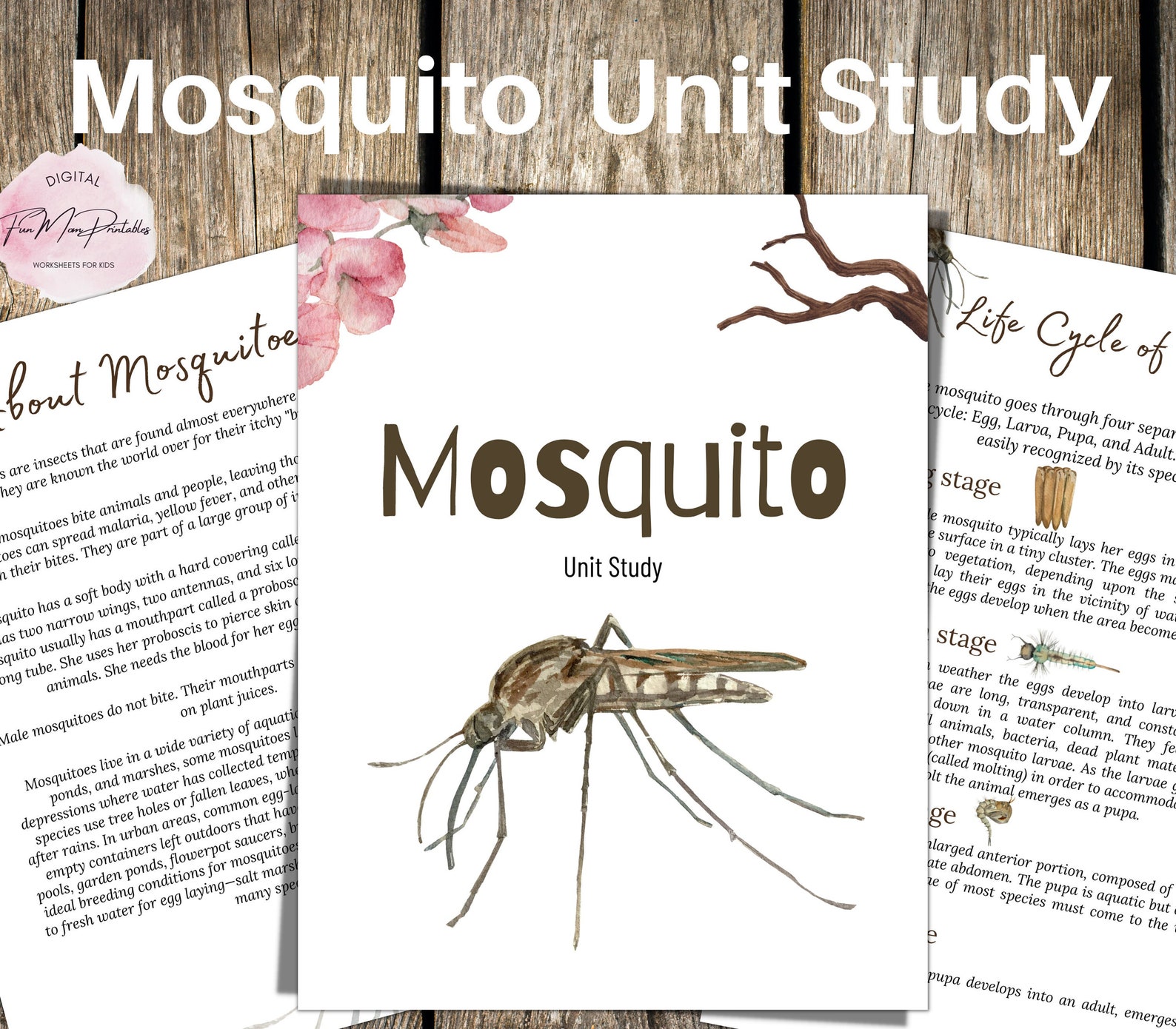 MOSQUITO Unit Study Life Cycle Anatomy Nature Study - Etsy