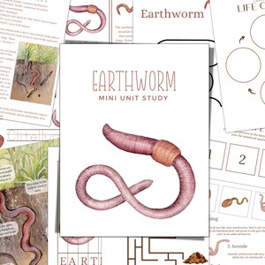 GARDEN INSECTS BUNDLE, Garden Pests Unit, Pollinators Unit, Earthworm ...