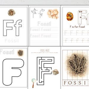 FOSSILS Unit Study, Anatomy, Nature Study, Science, Handwriting ...