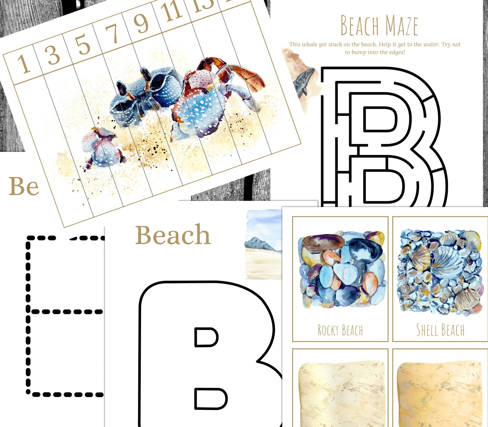 BEACH Unit Study Anatomy Nature Study Science Handwriting - Etsy