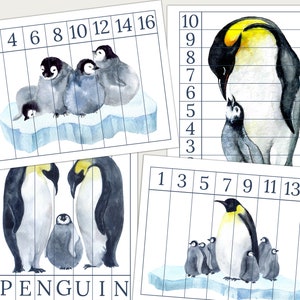 PENGUINS Unit Study, Life Cycle, Anatomy, Nature Study, Science ...